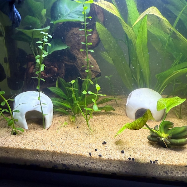 Small Fish Hide MADE TO ORDER - Betta Fish Cave - Small Aquarium Decor ...