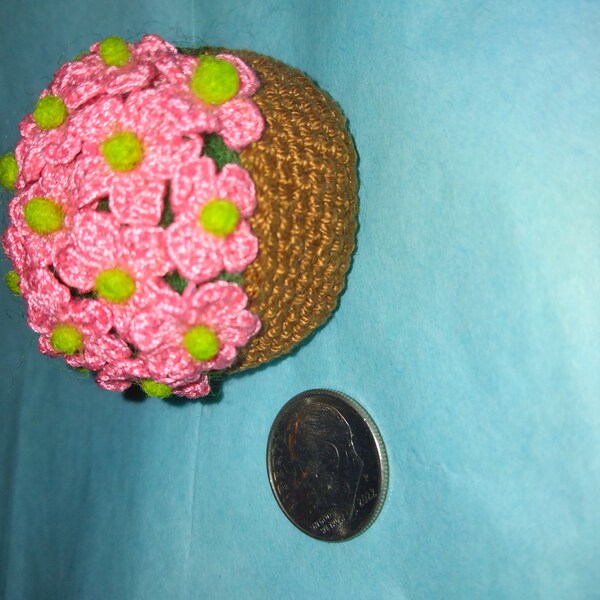 Tiny, Baby Lightning Whelk Bottle - Etsy