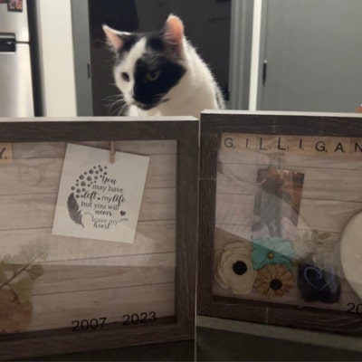 Pet Memorial, Pet Memorial Shadowbox, Dog Memorial, Cat Memorial, Loss ...