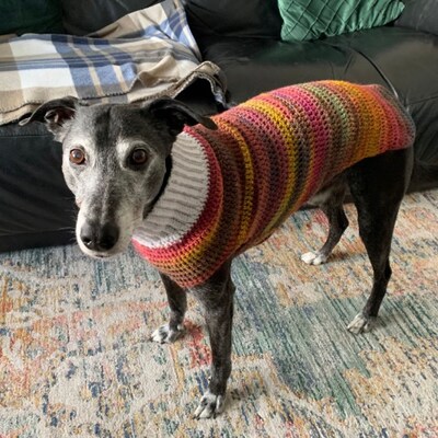 Lurcher/whippet Pdf Crochet Jumper Pattern 24 Inch - Etsy