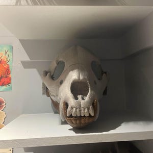 Java Finch Mask .STL Files for 3D Printing - Etsy