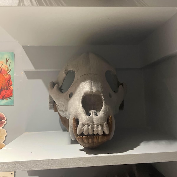 Physical 3D Printed T-rex Dinomask - Etsy