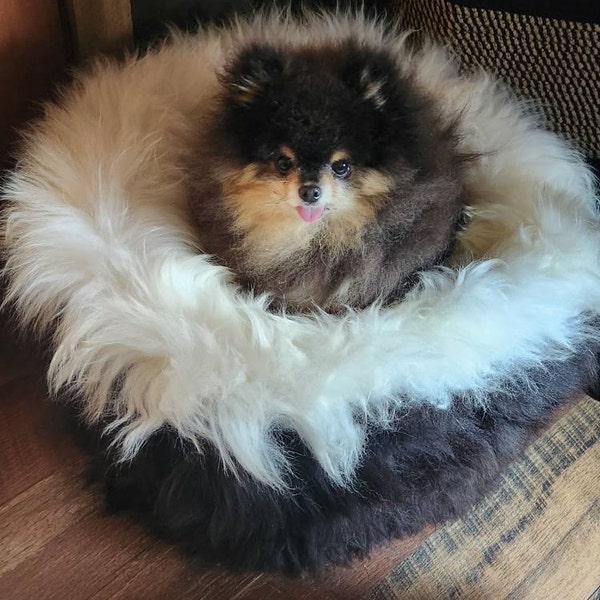 A Dog Bed, Sheepskin, Long Wool, for Your Dog or Cat, Bed, House ...