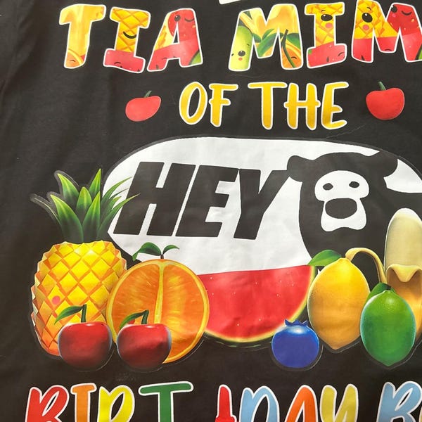 Fruit Birthday Shirt, Hey Bear Sensory Birthday Shirt, Dancing Fruit ...
