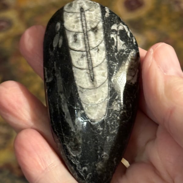 Pick Your Favorite Horse Totem Stone, Spirit Animal Crystal Healing ...