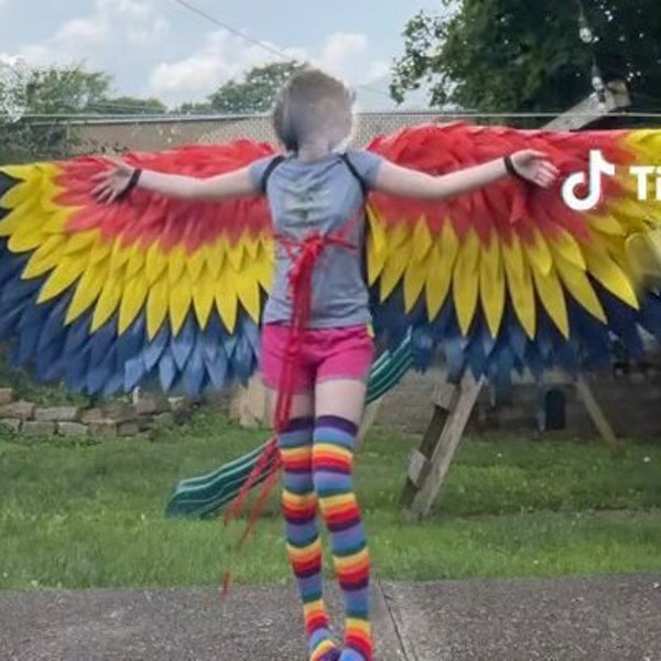 Parrot Wings Costume Macaw Costume Movable Wings For Dance Bird Wings Bird Costume Photo
