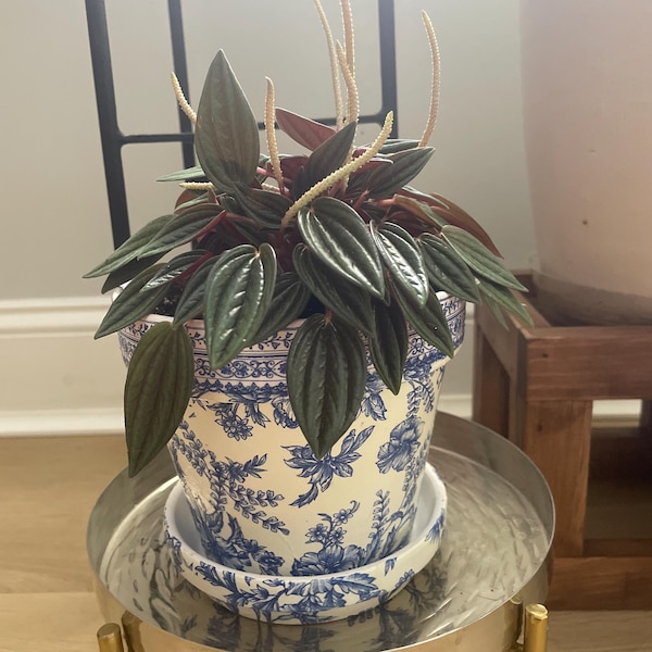 Toile Flower Pot With Saucer – Châteaucore Blue and White Chinoiserie ...