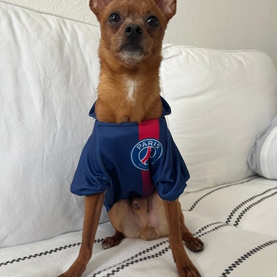 Barcelona Personalised Pet Tank Top FC 23/24 With Original FC Logo dog ...
