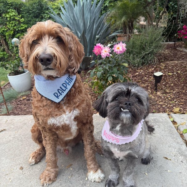 Dog Bandana BLUSH Gingham Bandana for Dogs Snap on Dog Bandana ...