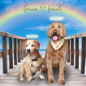 Dog Memorial, in Loving Memory, Dog Sympathy Gift, Puppy Tribute, Pet ...