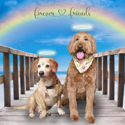 Dog Memorial, in Loving Memory, Dog Sympathy Gift, Puppy Tribute, Pet ...