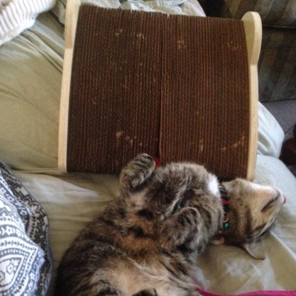 Cattino – Cat Shaped Scratching Post With Cat Bed & Perch - Etsy