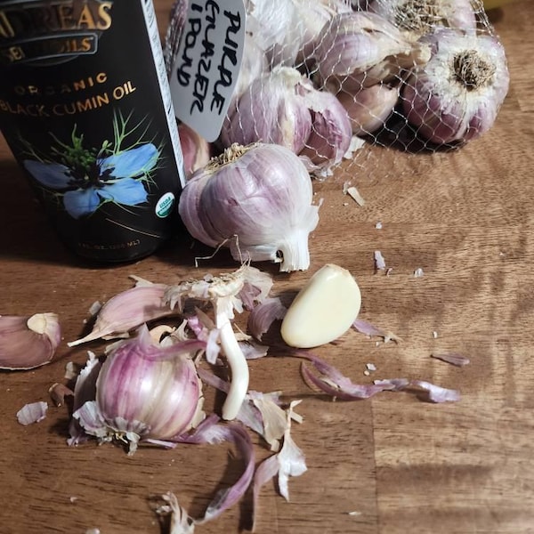 Sweet Fire Relish 16 Ounce Jar BJ Gourmet Garlic Farm - Etsy