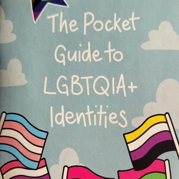 Queer Pride Flag Badge Queer Flag Pin Subtle Queer Pride Queer Coming ...