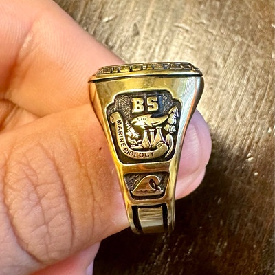 925 Sterling Silver Signet Ring, Logo Ring, United Nations Ring ...