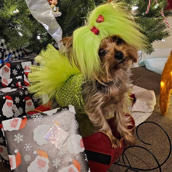 Handcrafted Storybook-inspired Hair Bows Perfect for Book Lovers ...