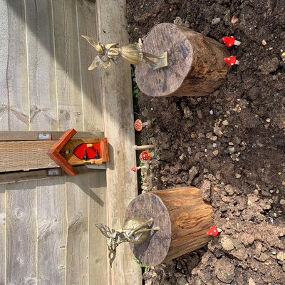 Willy the Tree Face. Funny Faces for Trees. Outdoor Sculpture, Statue ...