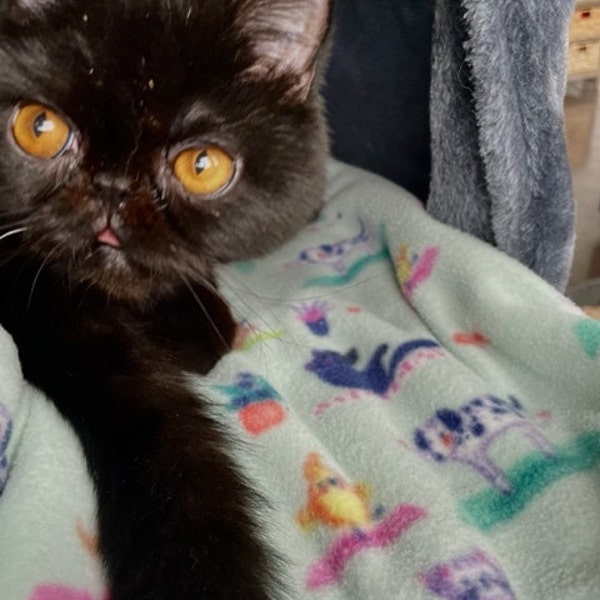 Cat Blankets NEW CHOICES!!! Small Cat Blanket, Cat Gift, Kitten Blanket ...