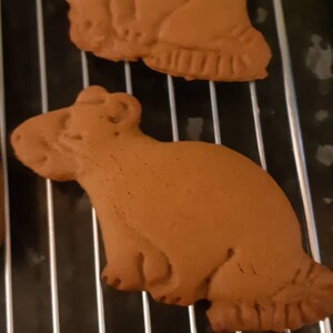 Rats Rat Rodent Cookie Cutter Pastry Fondant Dough Biscuit - Etsy