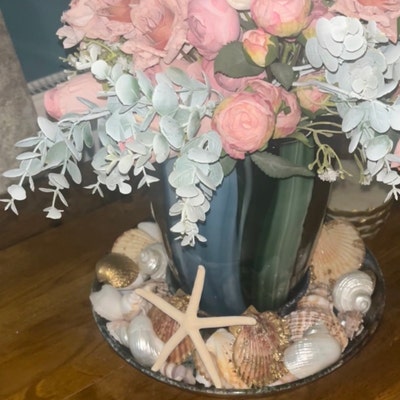 White Screw Shells 3-8cm Unicorn Horns Spiral Shell Beach Wedding ...