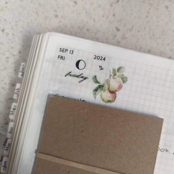 Blank Bi-wheel Chart | Astrology Chart | Simple Biwheel Chart ...