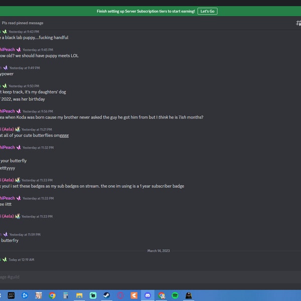 Gen 1 Starter Twitch Emote Pack | Stream Assets | Discord Emotes | Cute ...
