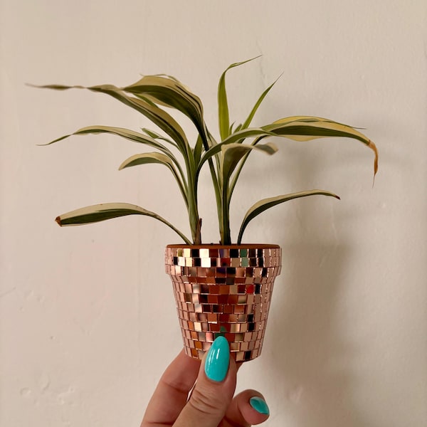 Mini Disco Planter | 2.3 Inch Disco Pot for Plants | Gold Boho Plant ...