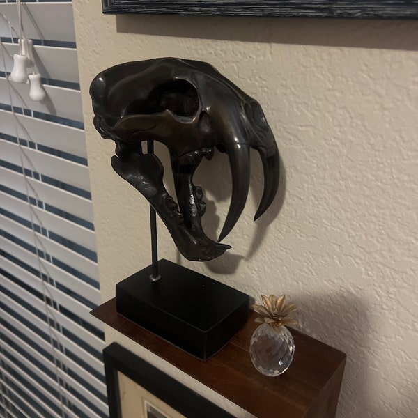 Bronze Babirusa Skull | Wild Pig Replica | Museum-quality Animal Skull ...