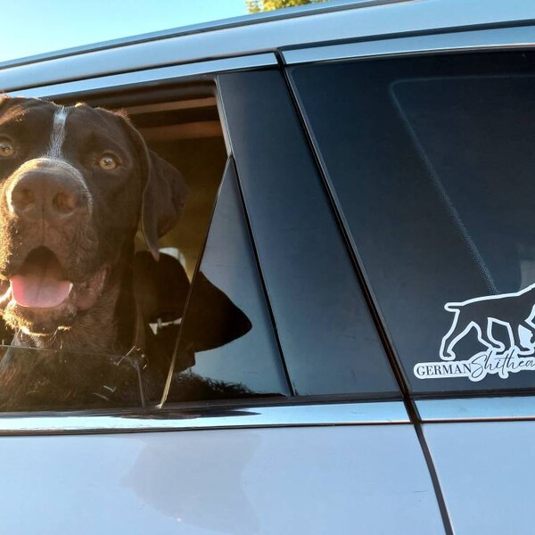 GSP Sticker German Shithead Pointer Logo - Etsy
