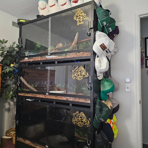 Ball Python Custom Name Decal | Pied Ball Python - Etsy