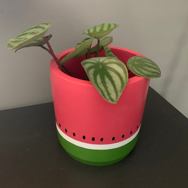 WATERMELON CYLINDER Concrete Planter, Table Planter, Housewarming Gift ...