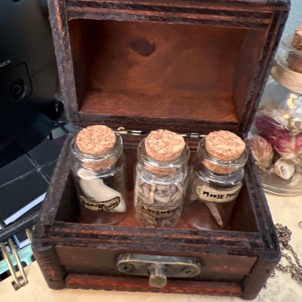 Mystery Specimens, Curiosity Set, Taxidermy, Entomology, Mystery ...