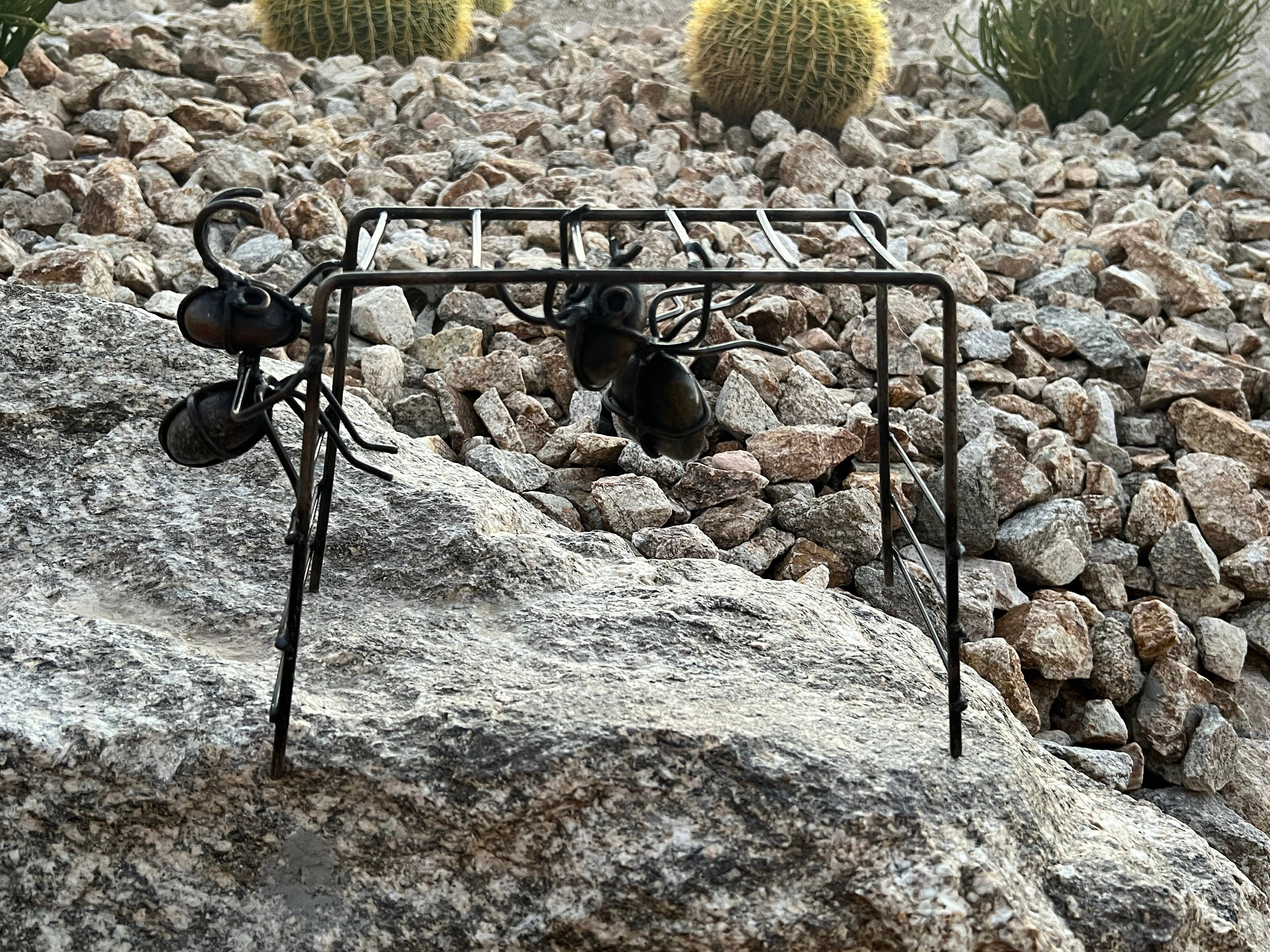 Ladder / Monkey Bars Ants from the Playground Ant Collection, Ant ...