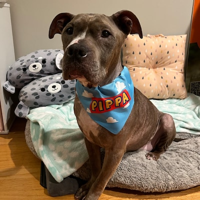 Custom Sci Fi Phone Case, Sci-fi Uniform, Captain, Star, Boldly Go ...