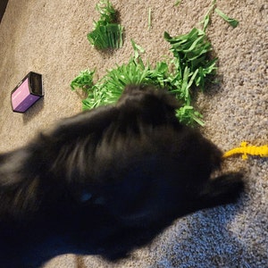 Kitty Lizard Articulated Cat Toy - Etsy