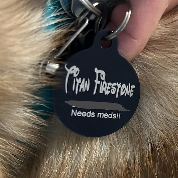 Custom Engraved CIRCLE Pet Tag Dog Cat ID Name Animal DISNEY - 10 ...
