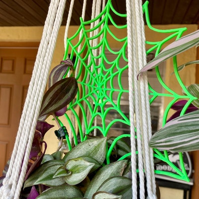 Plant Trellis Cebu Blue Pothos Plant Art Plant Decor - Etsy