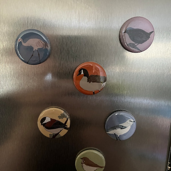 Mix and Match 24 Bird Pins: 100 Designs US Native Wild Songbirds ...