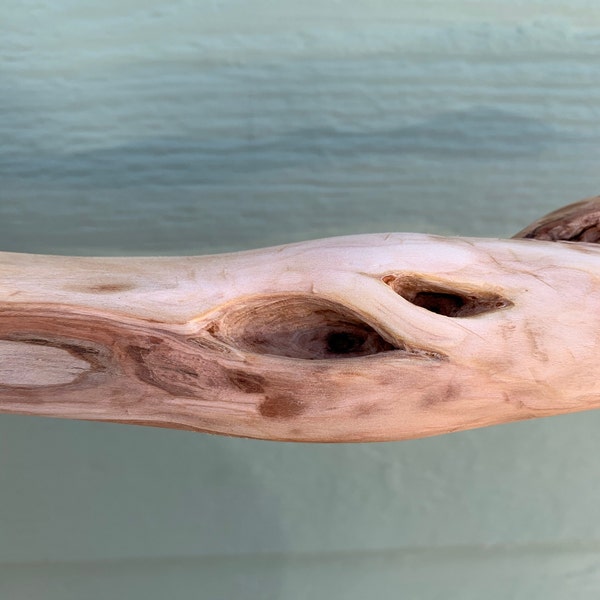 Linoleum Gunsmith Craft Palm Tools Gouge Beginners RAMELSON USA 117x4 ...