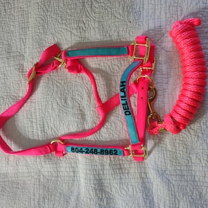 Personalized Nylon Sheep Halter - Etsy