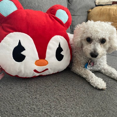 Poppy Animal Crossing Poppy ACNH Poppy ACNL Animal Crossing Villagers ...