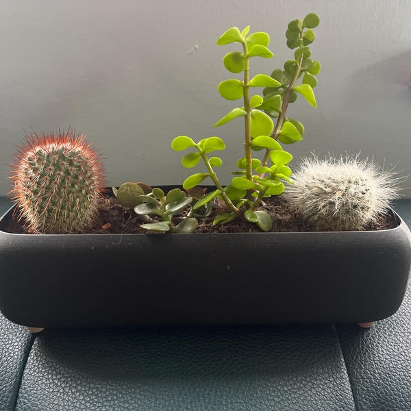 Rounded Cube Pot, Planter, Pot With Feet, Coloured Pot, Indoor Plant ...
