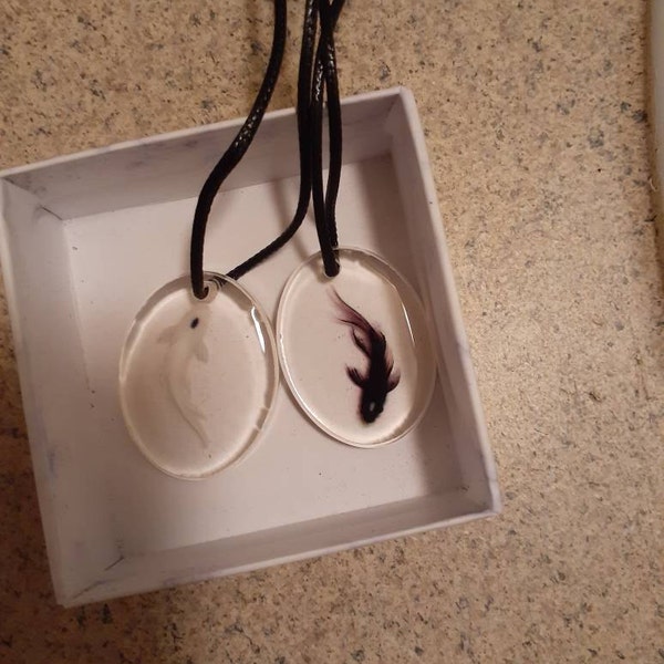 Yin Yang Fish Necklace, Fish Painting, Tui and La, Avatar the Last ...