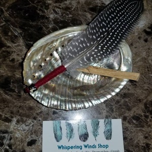 Abalone Shell Perfect for Smudge Sticks Alter Tool High Quality One ...