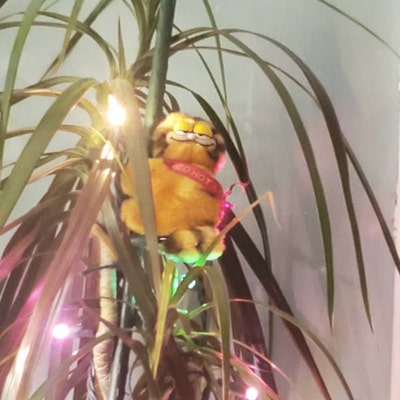 Gorgeous Collectible and Vintage Garfield Stuffed Animal With Red Robe ...