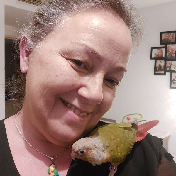 Budgie Parakeet (melopsittacus Undulatus), Handmade, Parrot Figurine ...