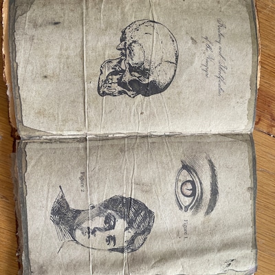 Medieval Fantasy Junk Journal Pages, Printable Middle Ages Ephemera for ...