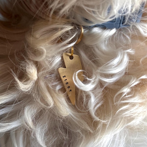 Dog Tag, Pet ID Tag, Dog Name Tag, Dog ID Tag Keyring, Brass ...