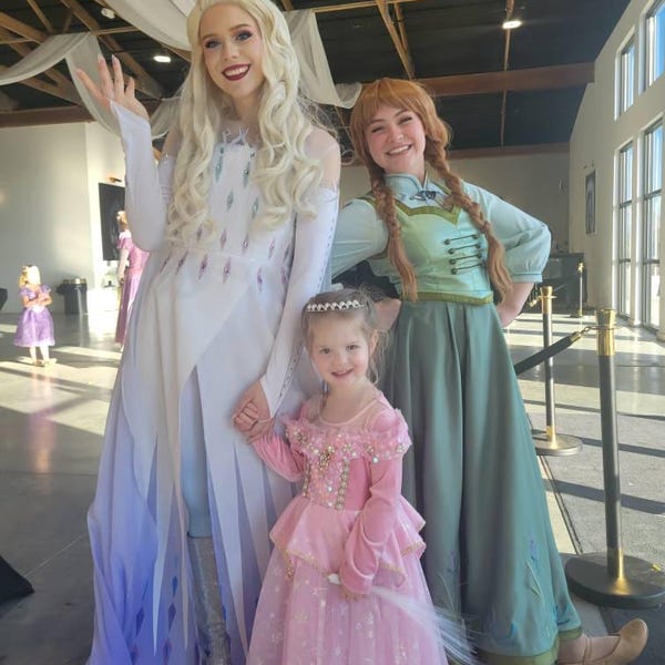 Enchanted Rose Princess Dress - Etsy