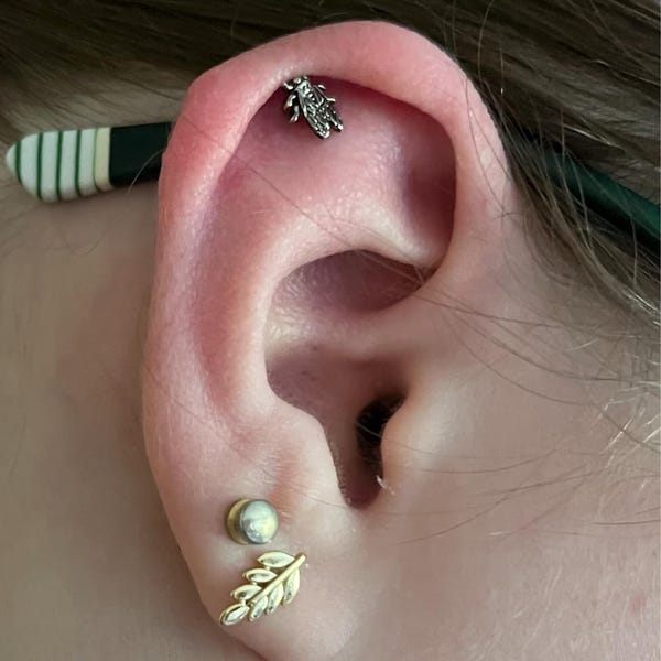 16G* Little Vintage Bug Piercing/various Post Bar Externally Threaded ...